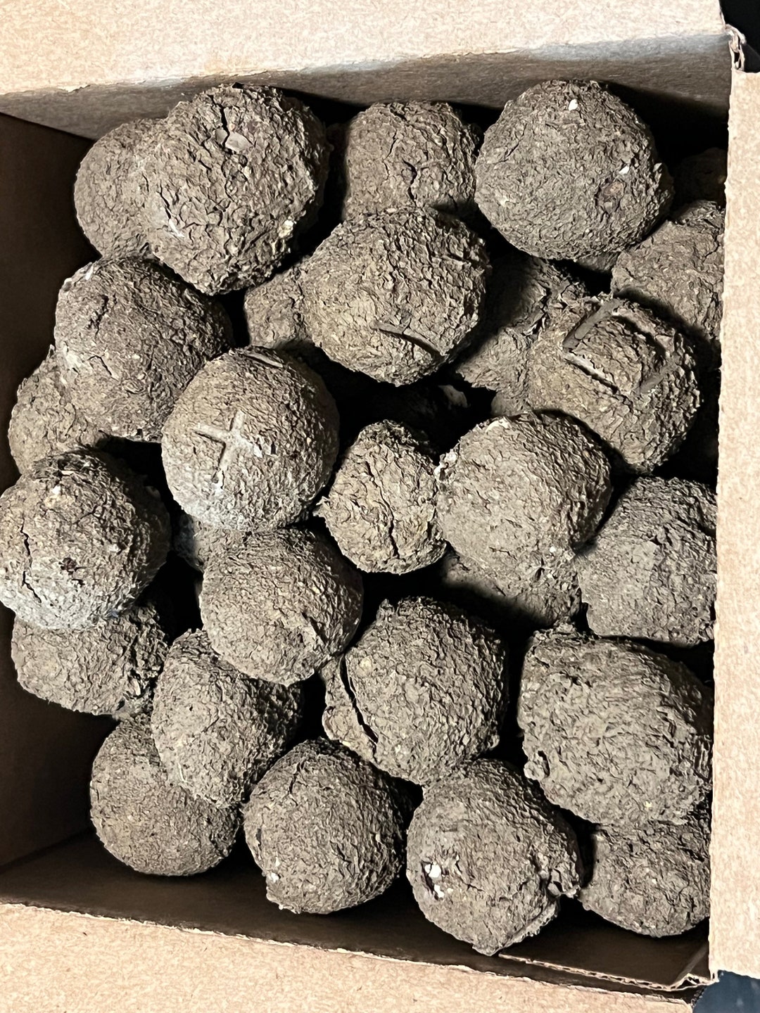 100 Natural Seed Bombs, Pollinator Friendly Plants, Songbird Attracting ...