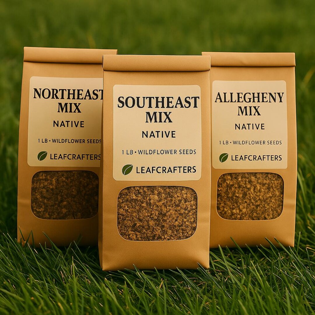 Eastern Native Wildflower Seed Mixtures, Wildflower Seeds for Pollinator-friendly Gardens ...