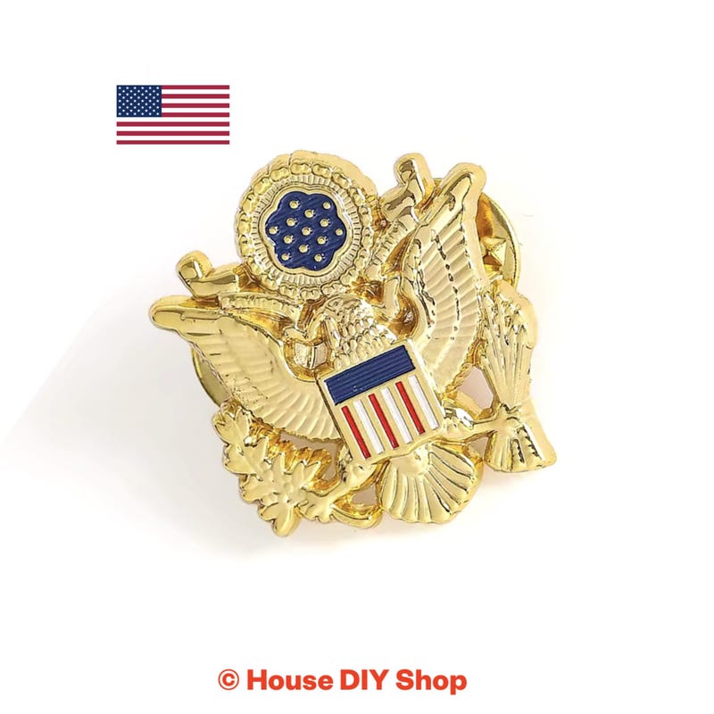 America 250 Lapel Pin - Etsy