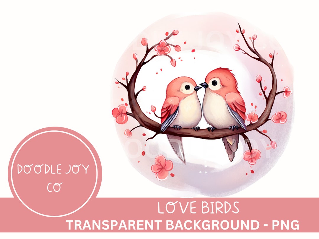 Love PNG Valentine's Day Watercolour Love Birds Clipart Animal ...