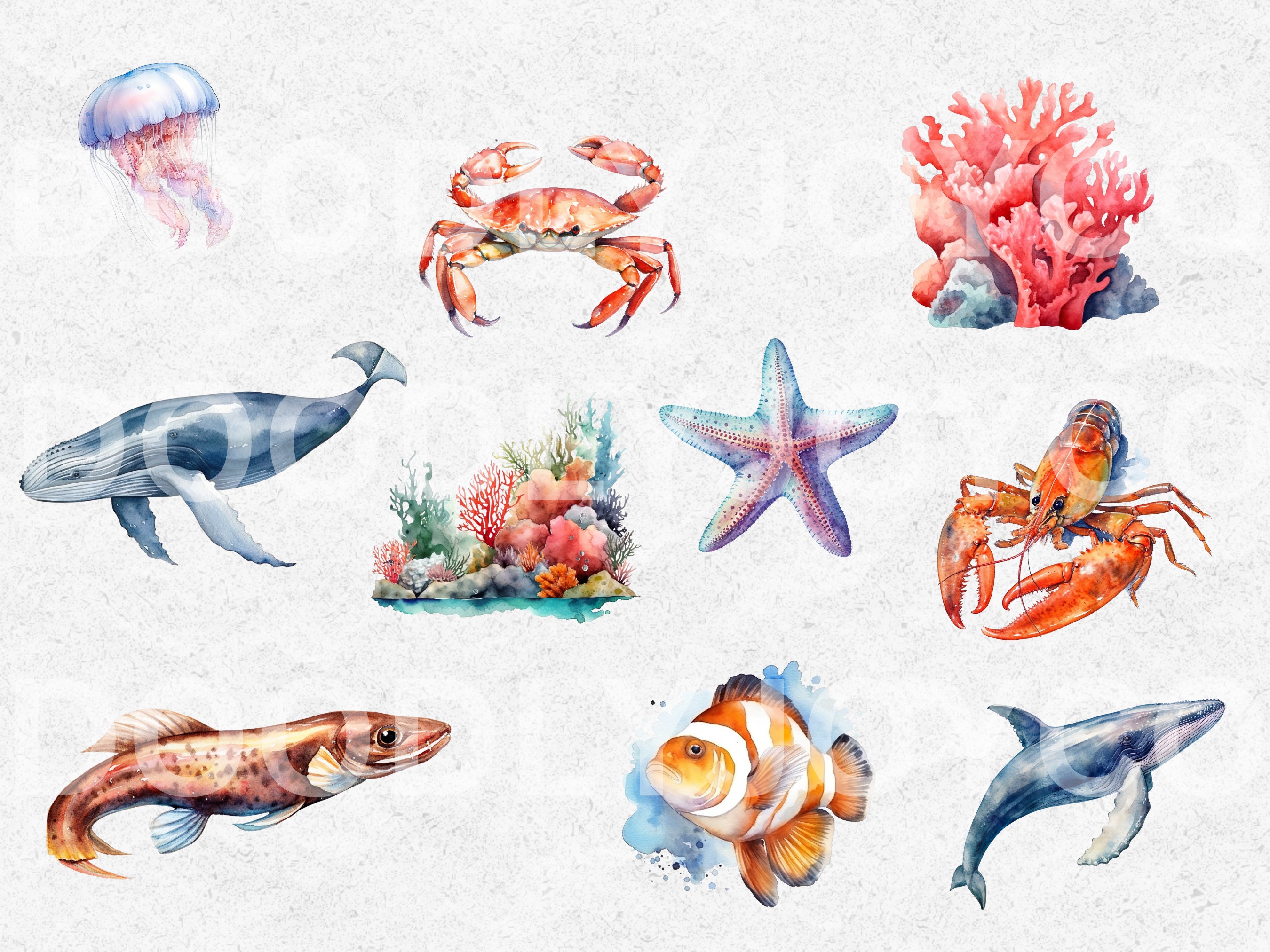 Watercolour Sea Life Clipart Pack Sea Creature PNG Sea Animal Clipart ...