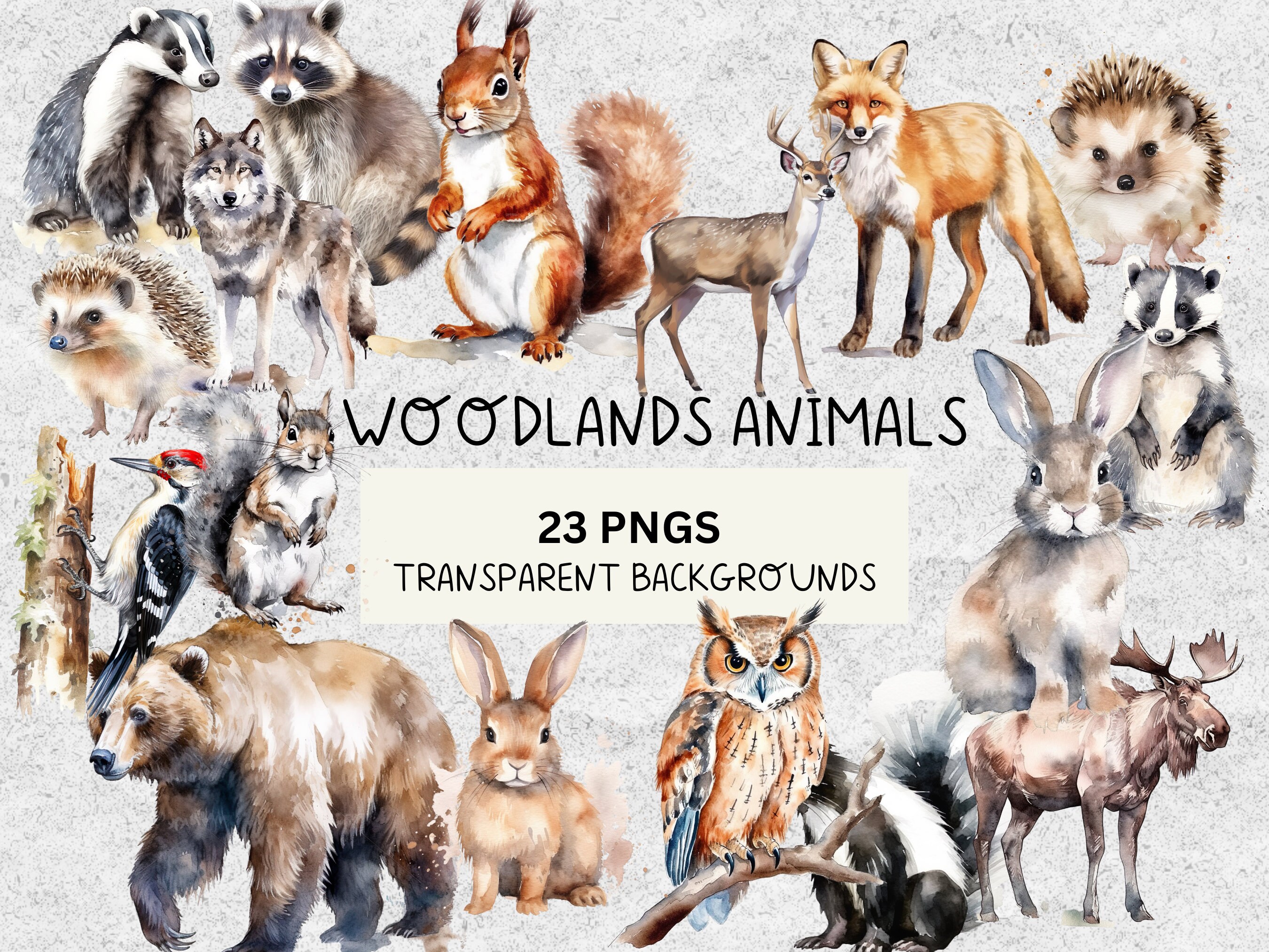 Woodland Animal Clipart Watercolour Woodland Animal Clipart Pack Animal ...