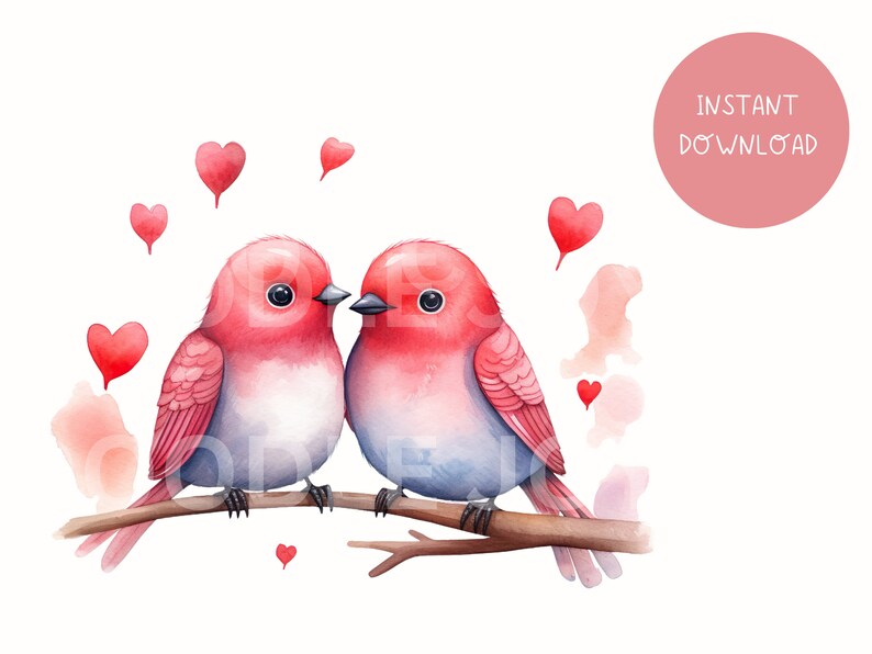 Valentine's Day PNG Watercolour Love Birds Clipart Valentine's Animal ...