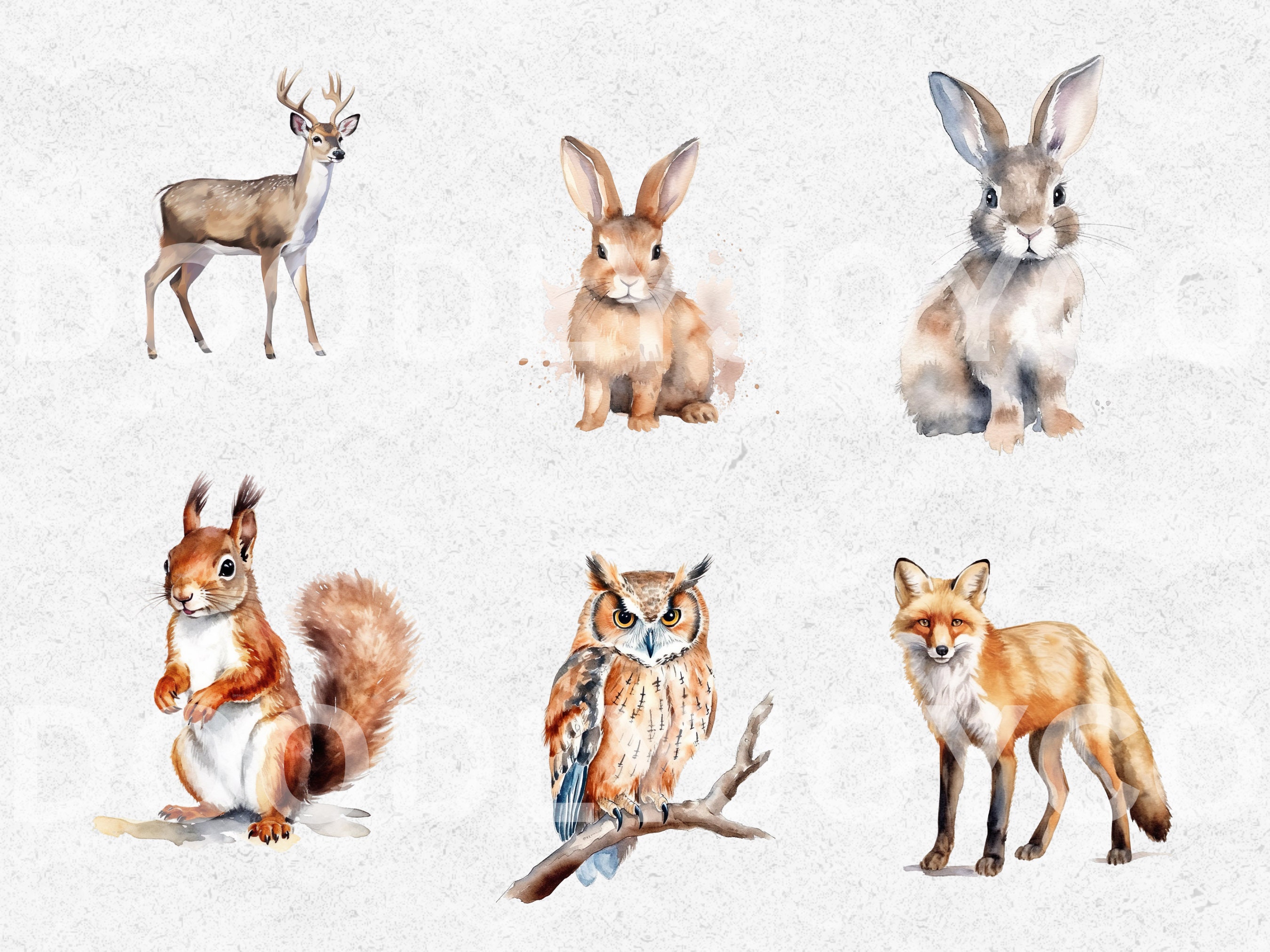 Woodland Animal Clipart Watercolour Woodland Animal Clipart Pack Animal ...