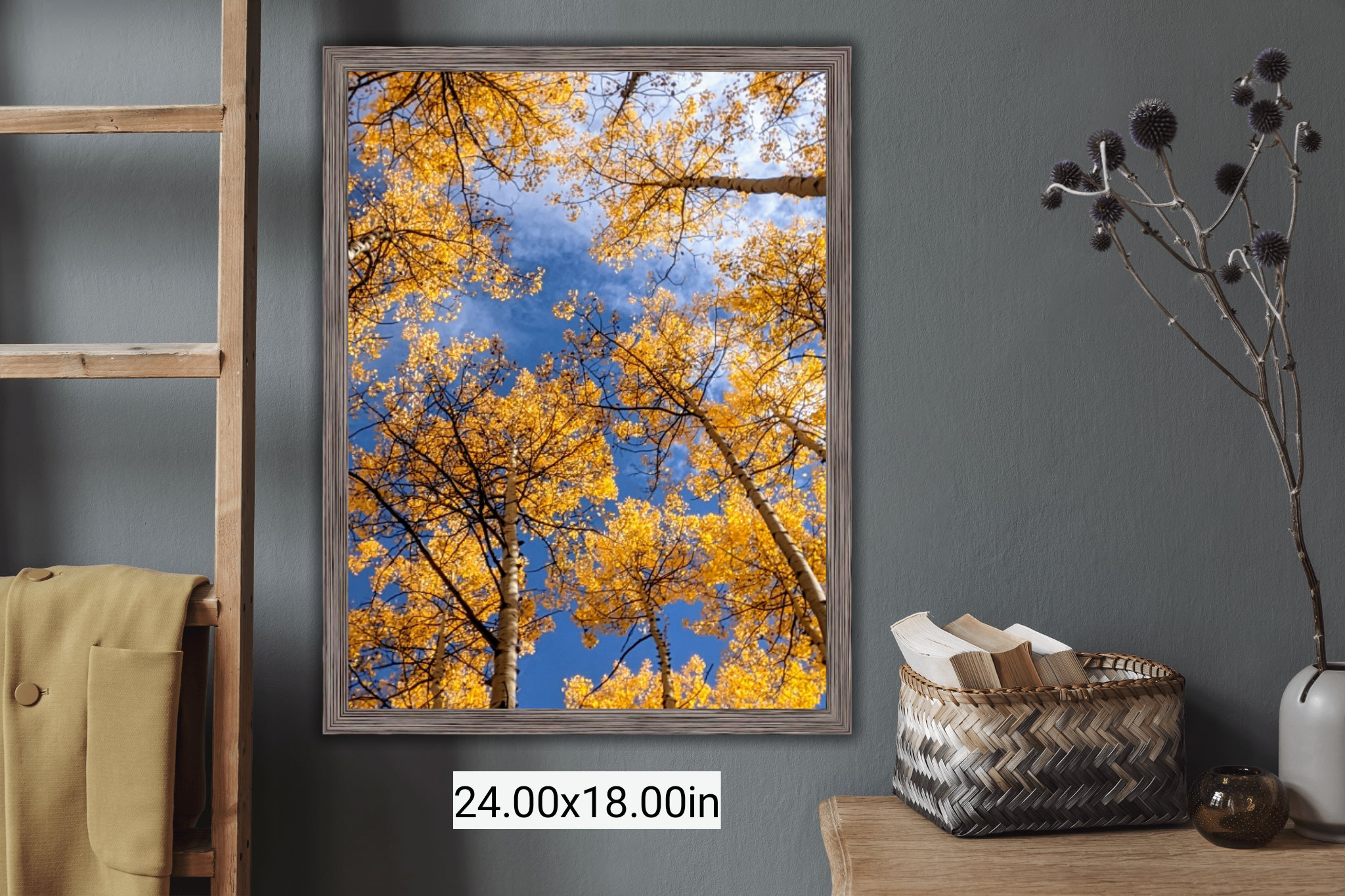 Yellow Aspen Trees During Fall in the Rocky Mountains in Colorado Near ...