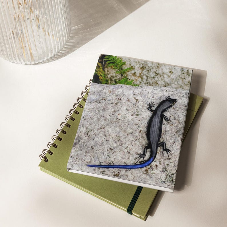 Blue-tailed Skink Art Print: Herpetology Decor (digital Download) - Etsy