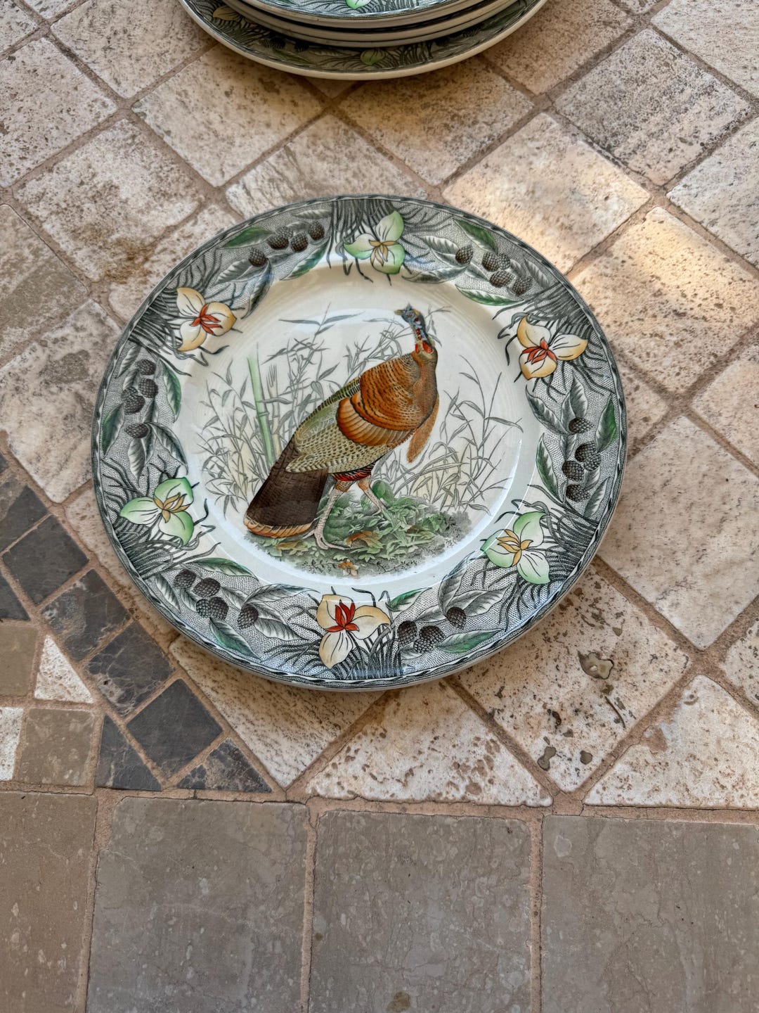 Birds of America (floral Border) by ADAMS CHINA. Wild Turkey. After ...