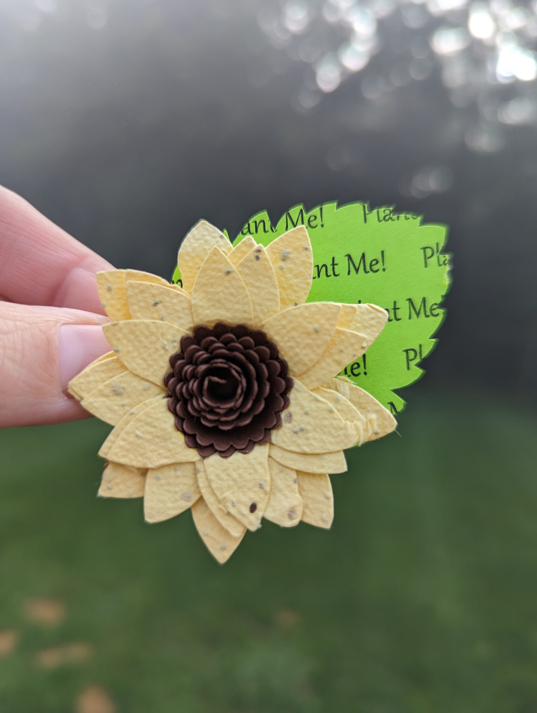 Seed Paper Sunflower Minis - Etsy