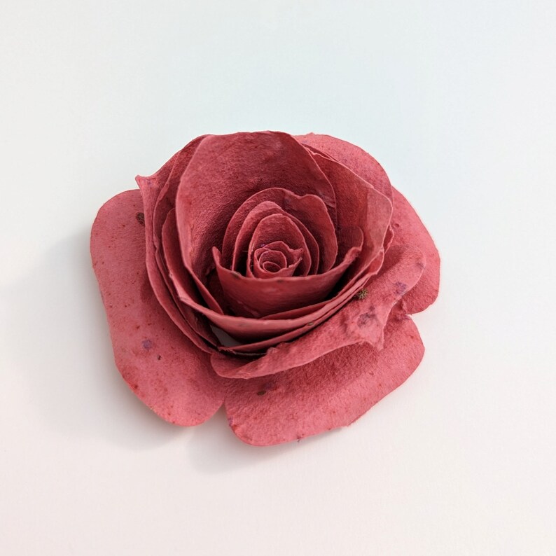 Seed Paper Rose - Etsy