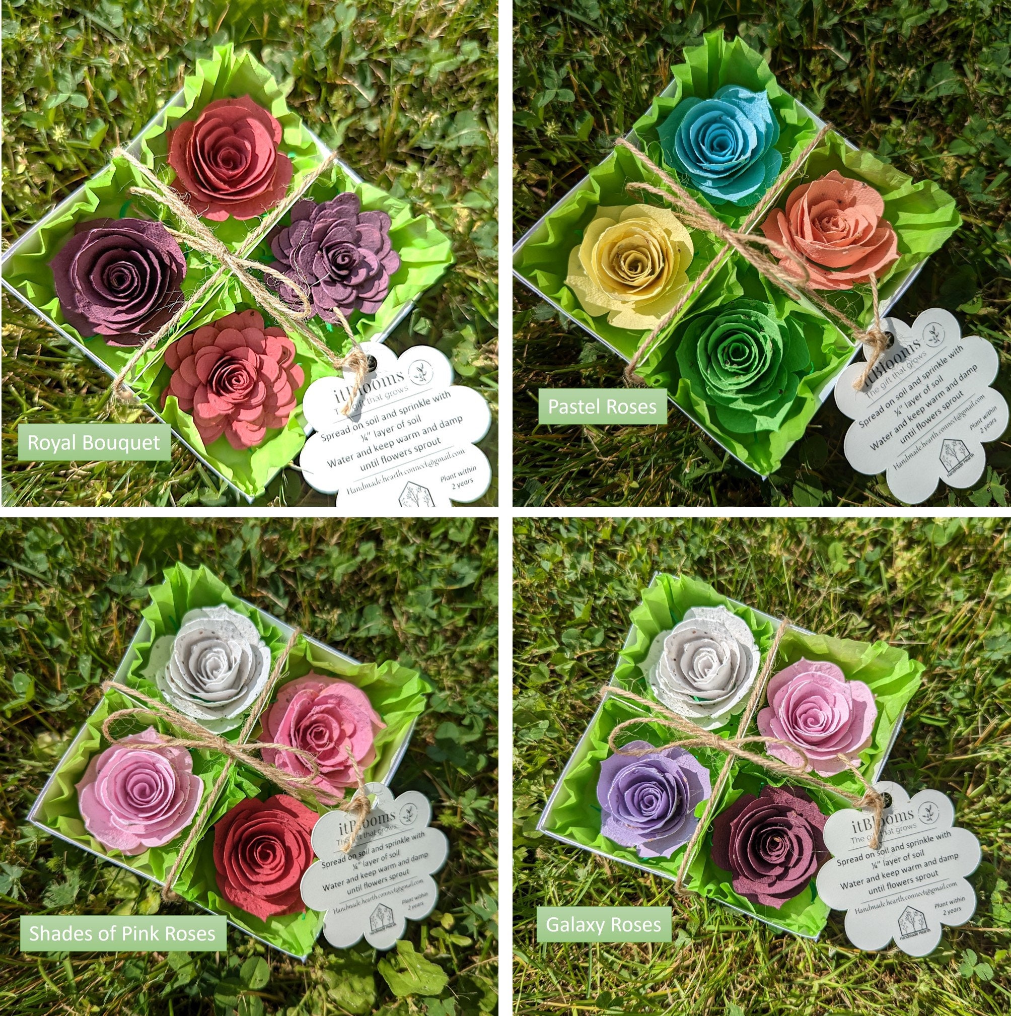 Seed Paper Flower Gift Set - Etsy