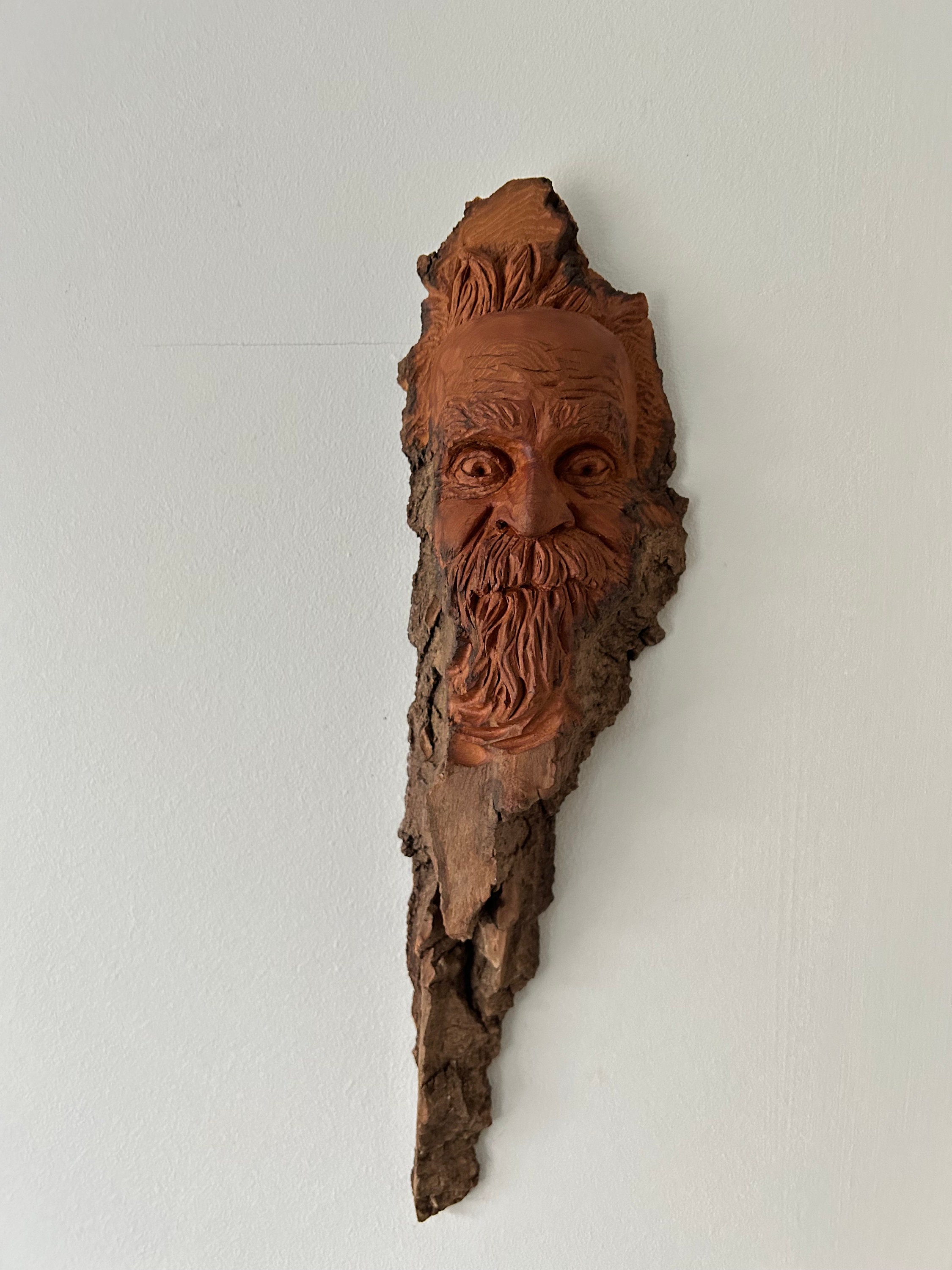 Hand Carved Cottonwood Bark Face Sculpture - “surprise!” - Etsy