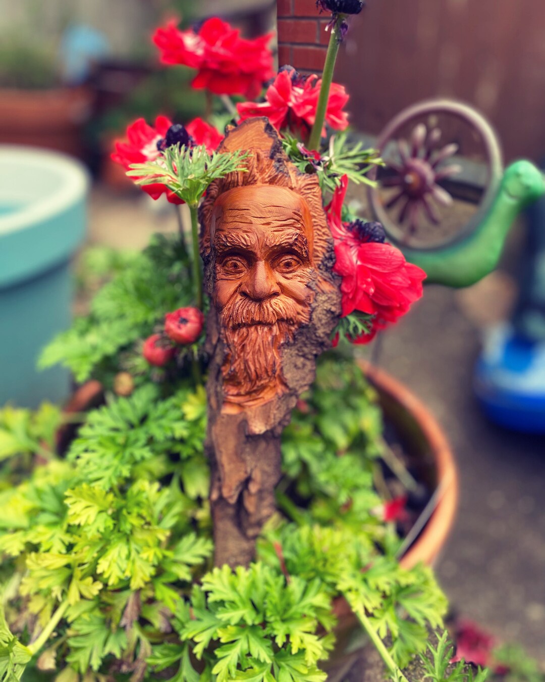 Hand Carved Cottonwood Bark Face Sculpture - “surprise!” - Etsy