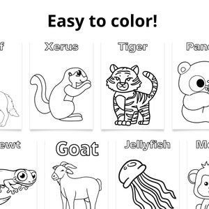 A-Z Animal Coloring Pages for Young Kids - Etsy