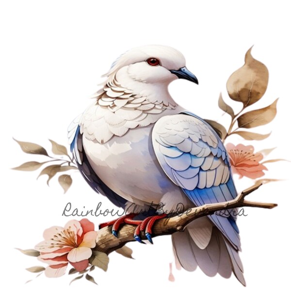 Holy Spirit Dove Clipart - Etsy