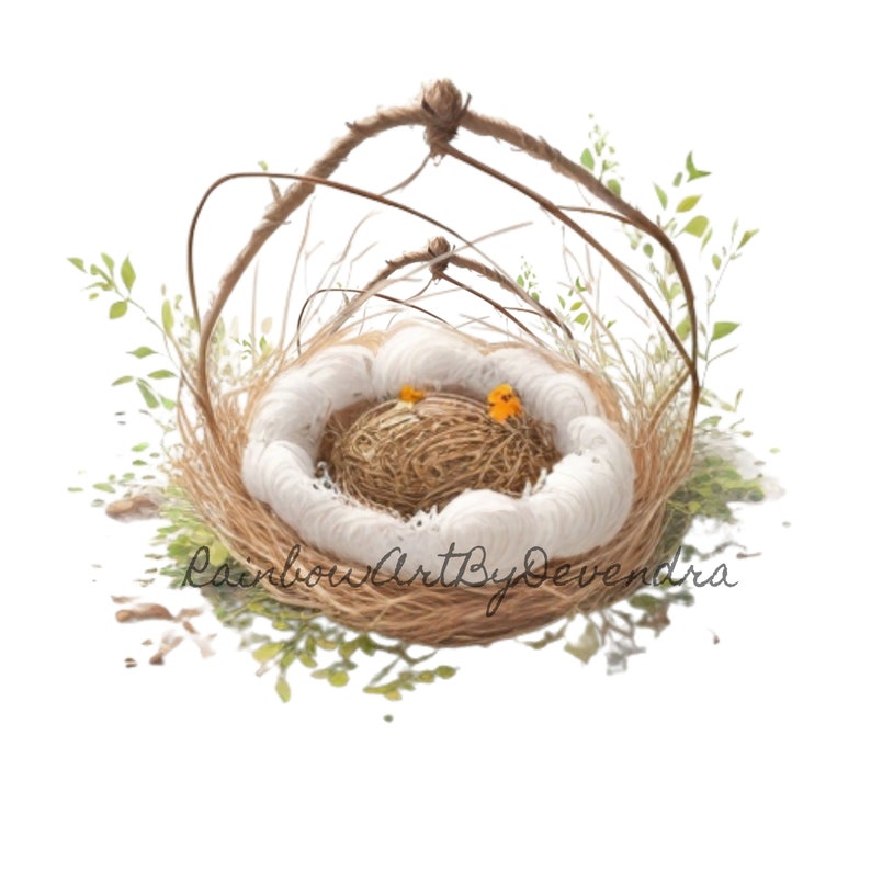 Bird Nest Clipart Bird Nest Images, Bird Lover Artwork,fluffy Nest ...