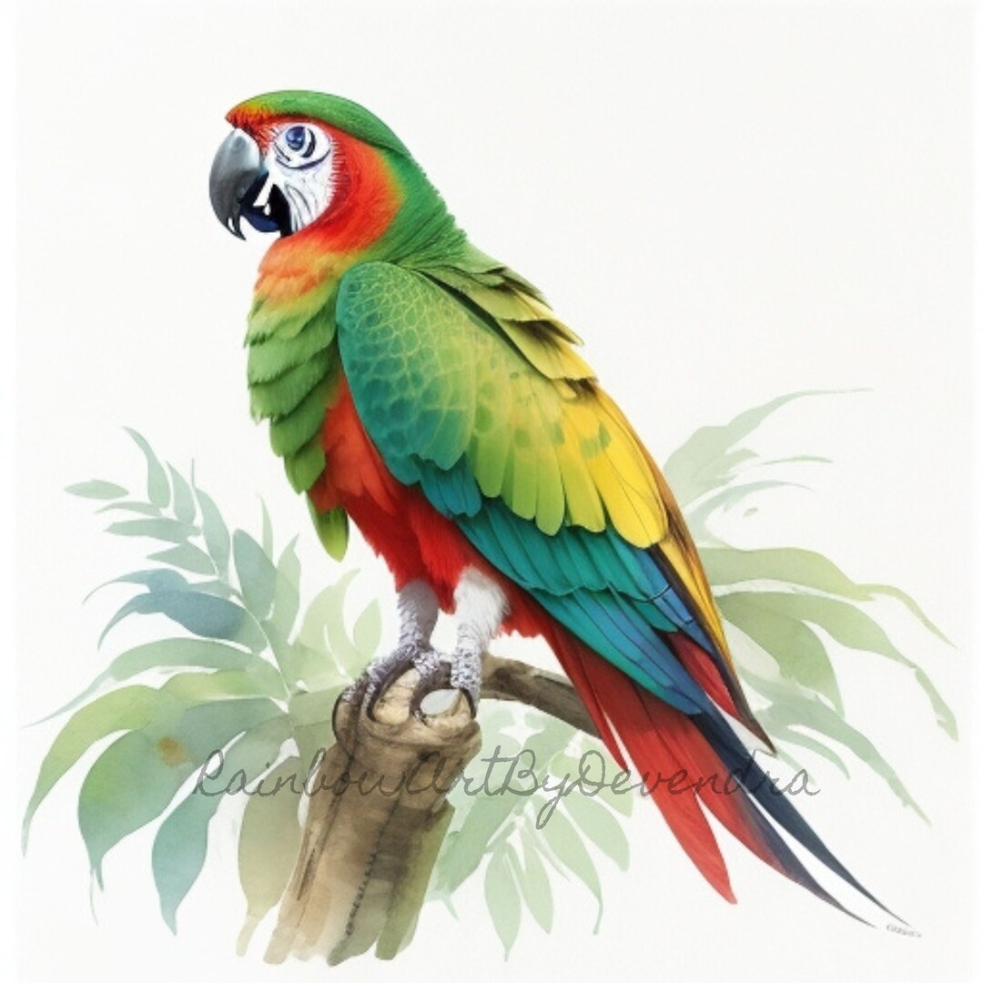 Parrot Clipart Colorful Parrot Art, Parrot Image,avian Wildlife Decor ...
