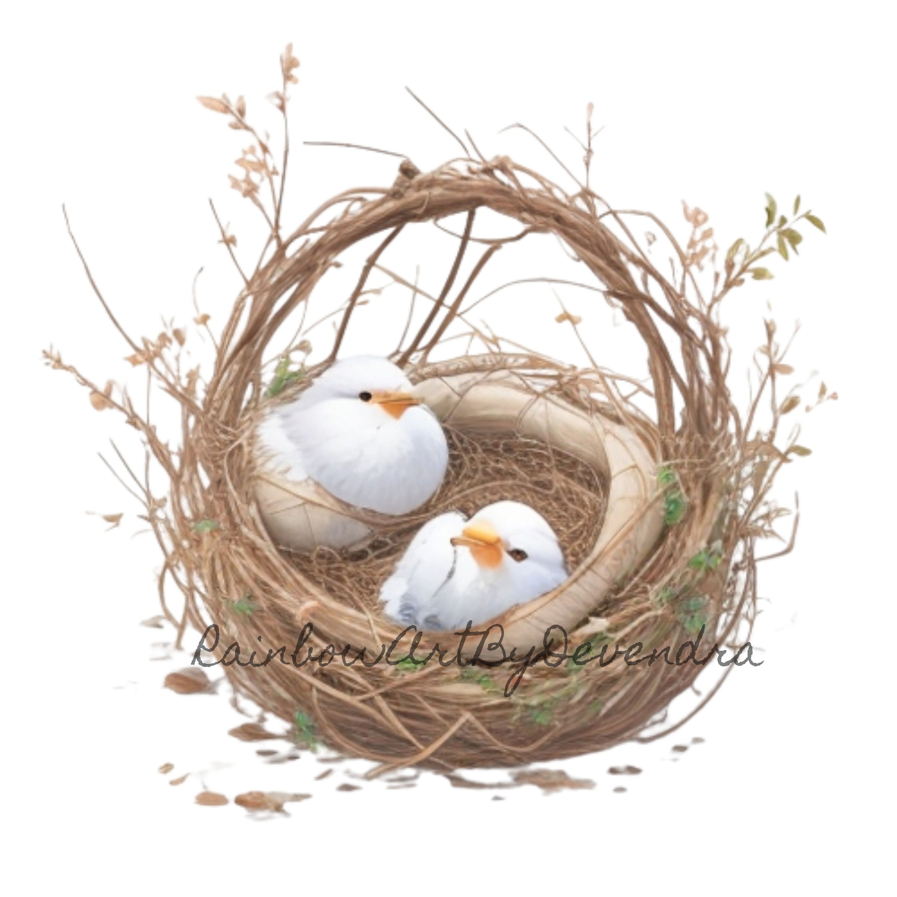 Bird Nest Clipart Bird Nest Images, Bird Lover Artwork,fluffy Nest ...