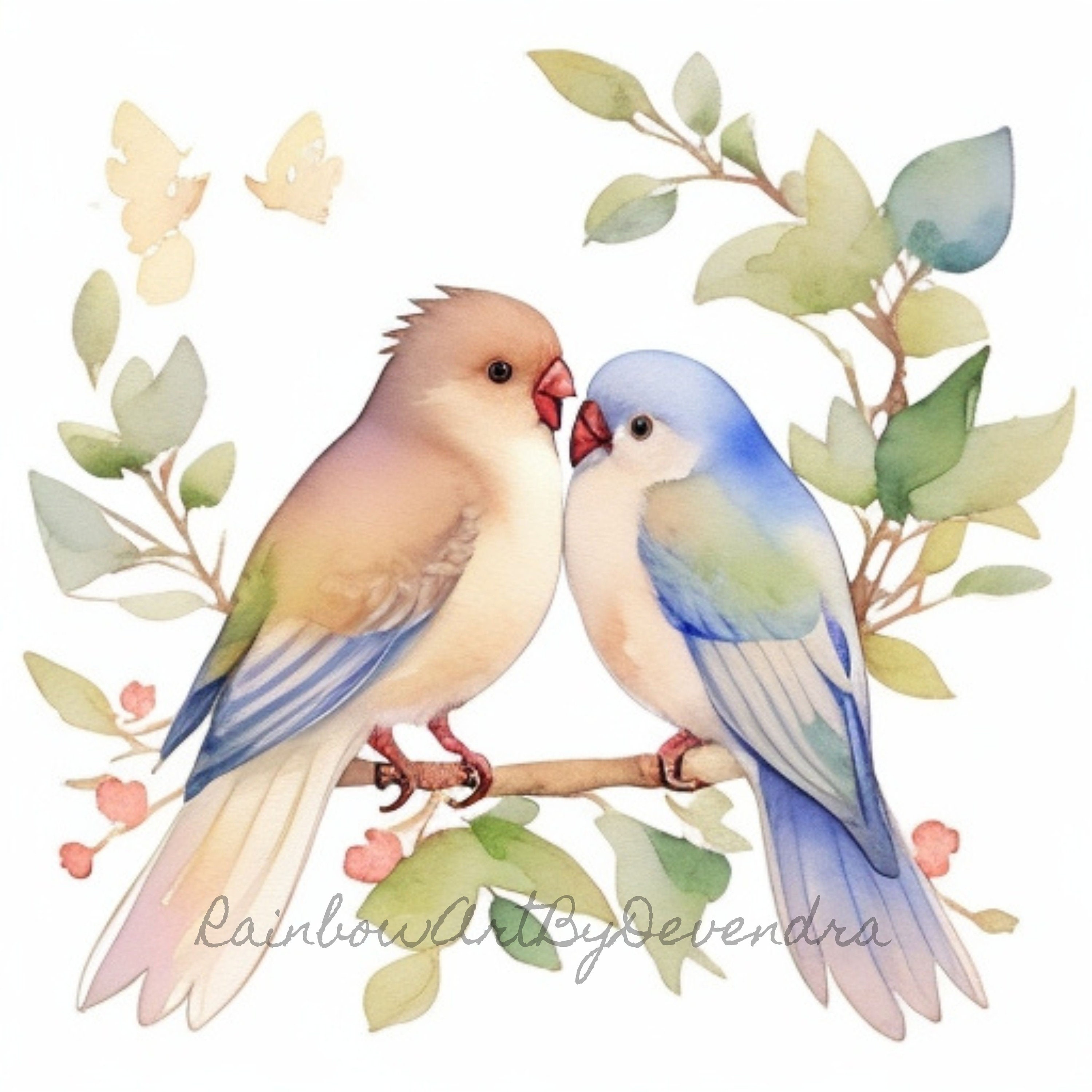 Love Bird Clipart Pretty Love Bird,love Bird Images,adorable Avian Art ...