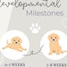 Puppy Developmental Milestones Digital and Printable - Etsy