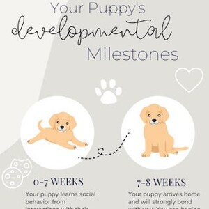 Puppy Developmental Milestones Digital and Printable - Etsy
