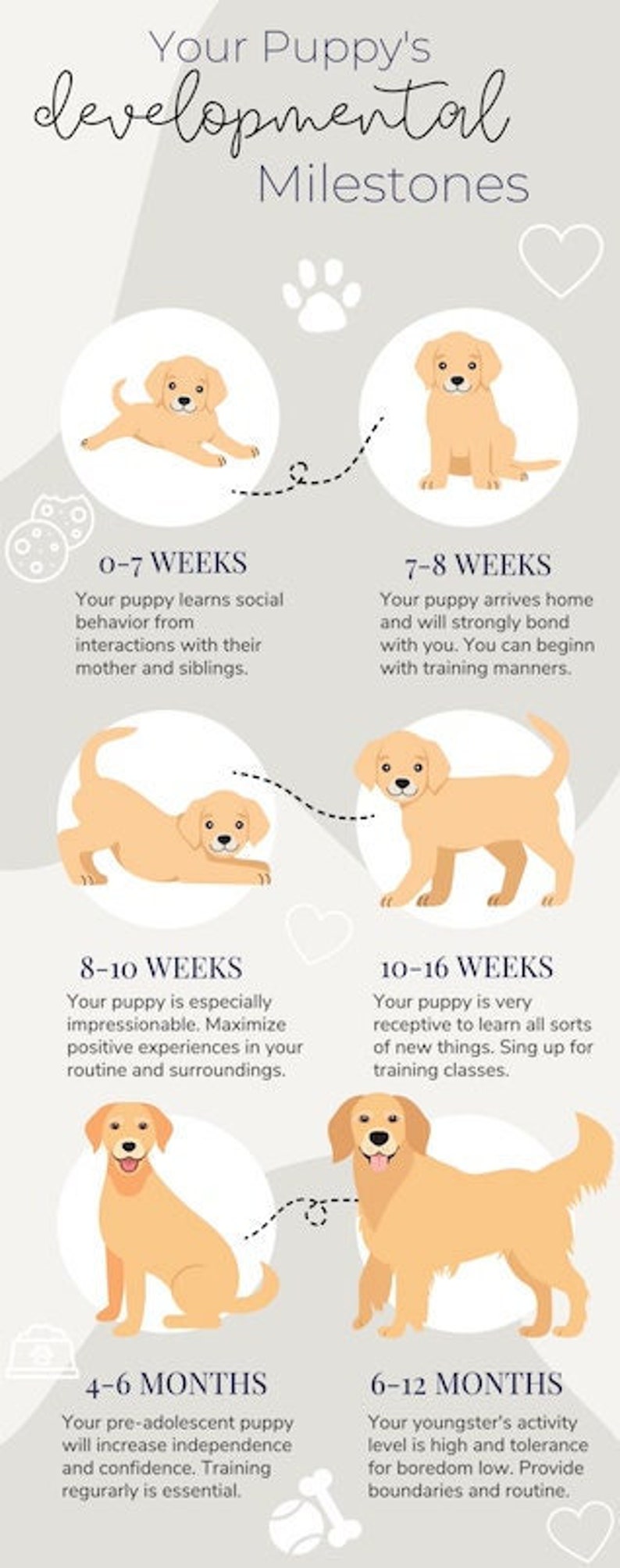 Puppy Developmental Milestones Digital and Printable - Etsy