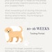 Puppy Developmental Milestones Digital and Printable - Etsy