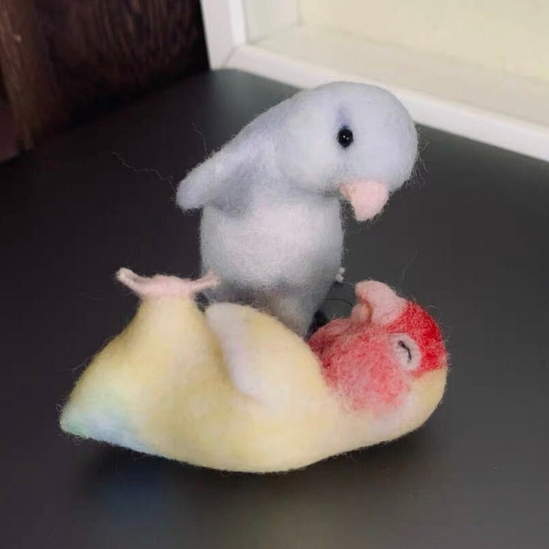 Needle Felted Parrot - Etsy
