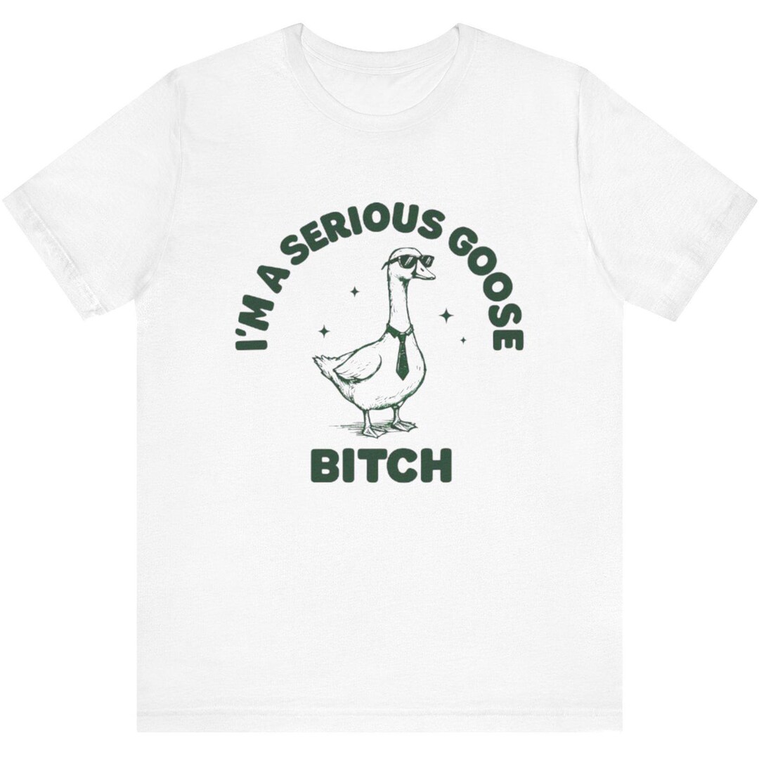 Silly Goose, Meme Shirt, Funny T-shirts, Unhinged Shirts, Gift Ideas ...