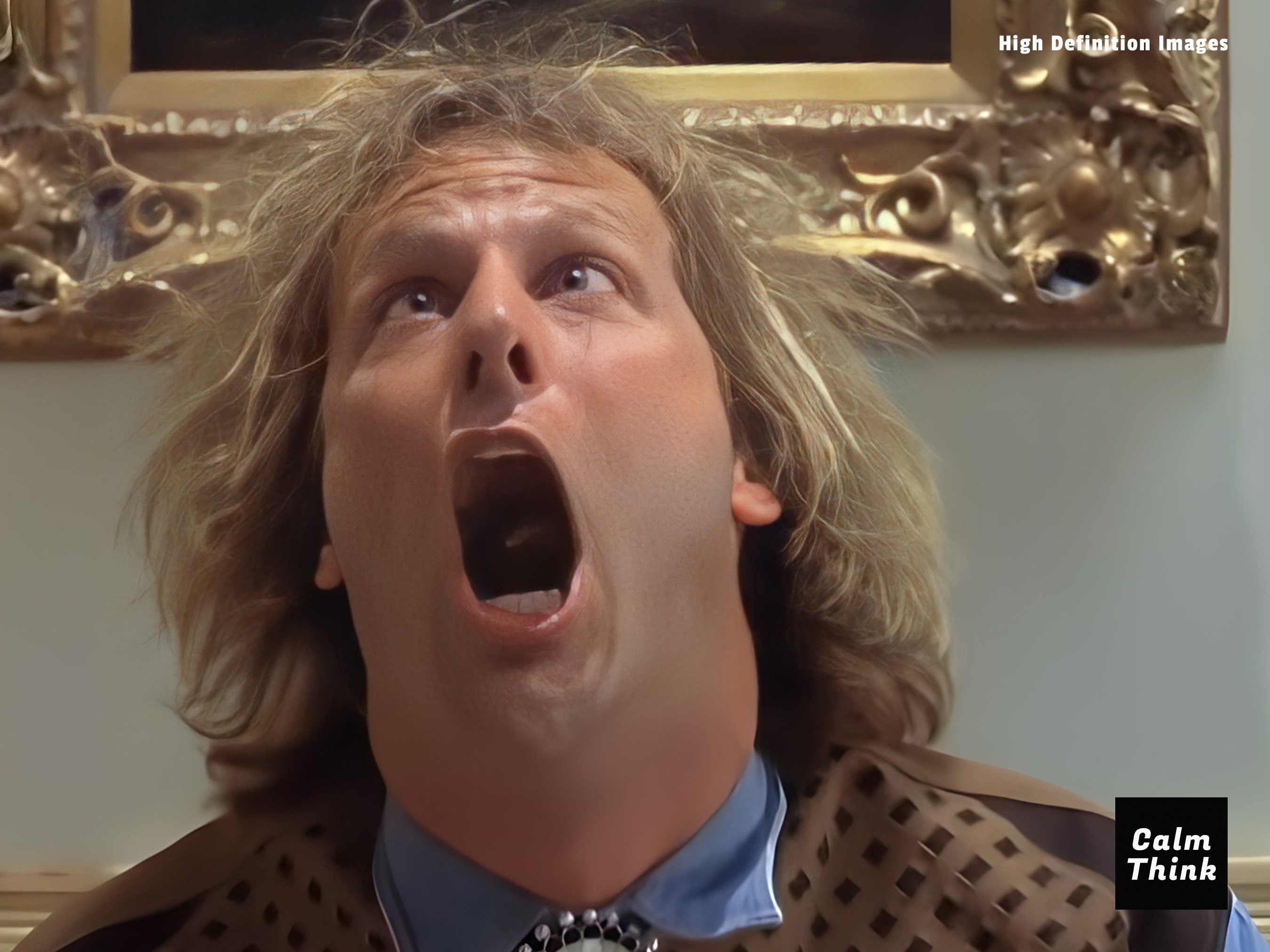 Dumb and Dumber Movie Poster Toilet Doesn't Flush Scene Funny Bathroom ...