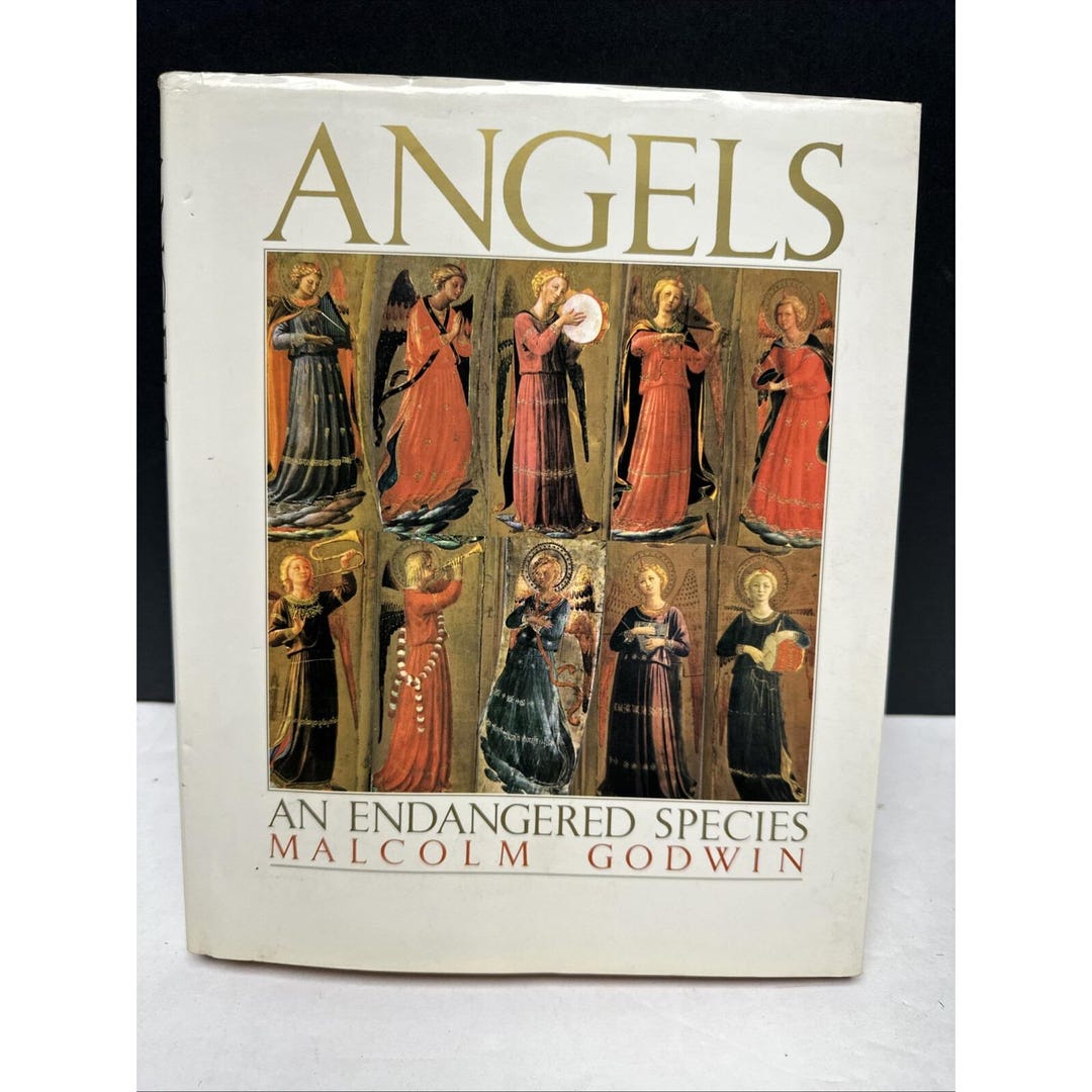 Angels an Endangered Species Malcolm Godwin 1990 Illustrated by Yatri ...