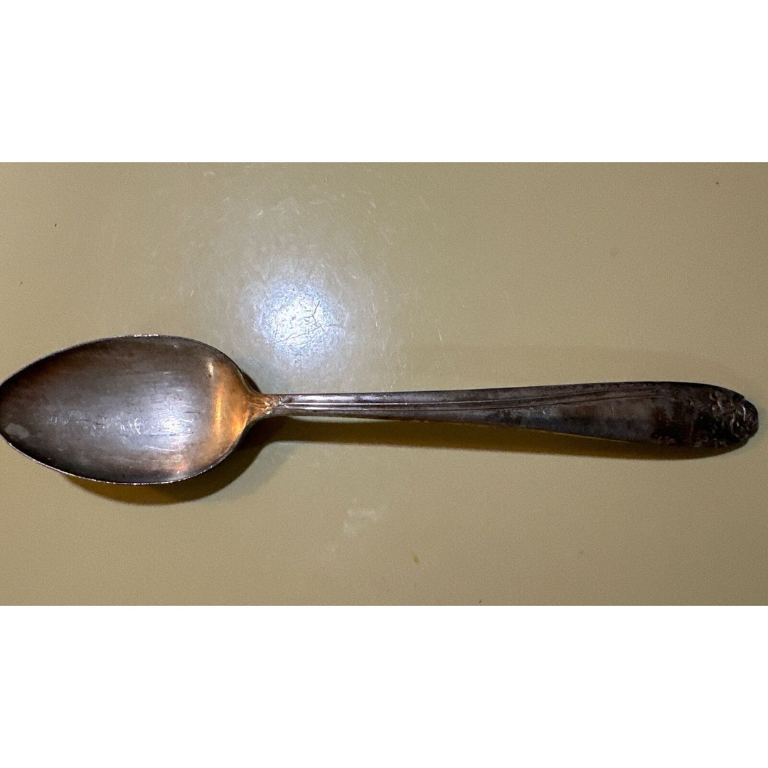 Wmrogers Mfg Co TUPPERWARE ROSE Pattern Silverplate Serving Spoon 8 1/2 ...