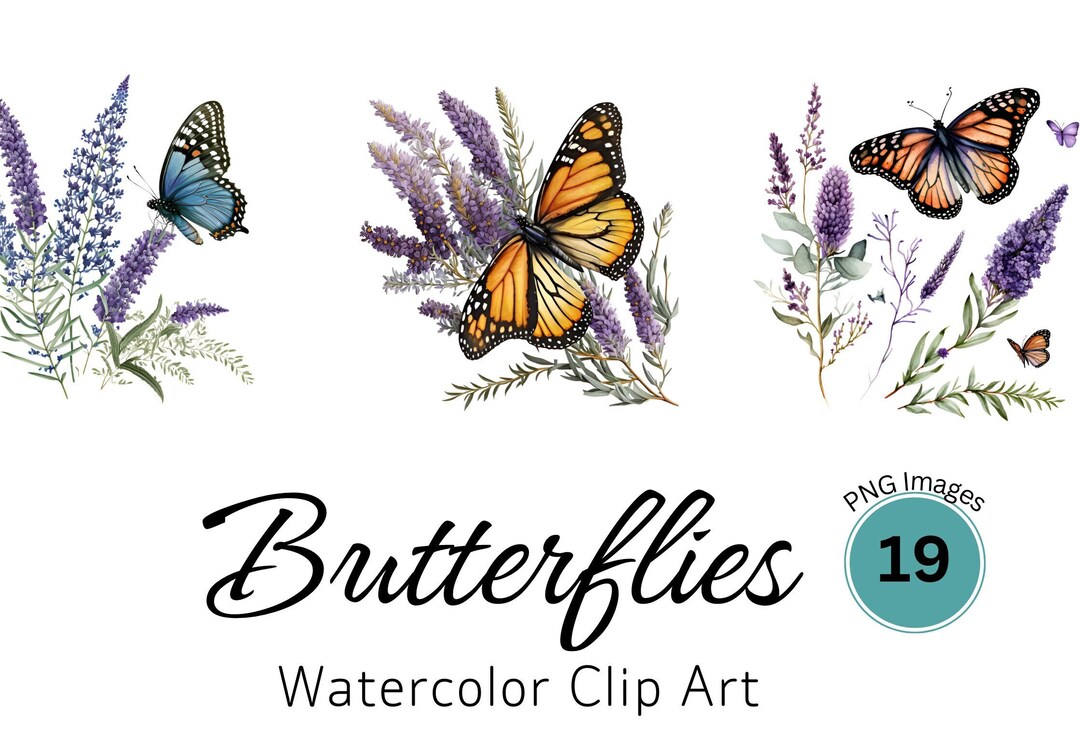 Monarch Butterfly Clipart | Watercolor Butterfly PNG | Floral Clipart ...