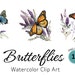 Monarch Butterfly Clipart Watercolor Butterfly PNG Floral Clipart ...