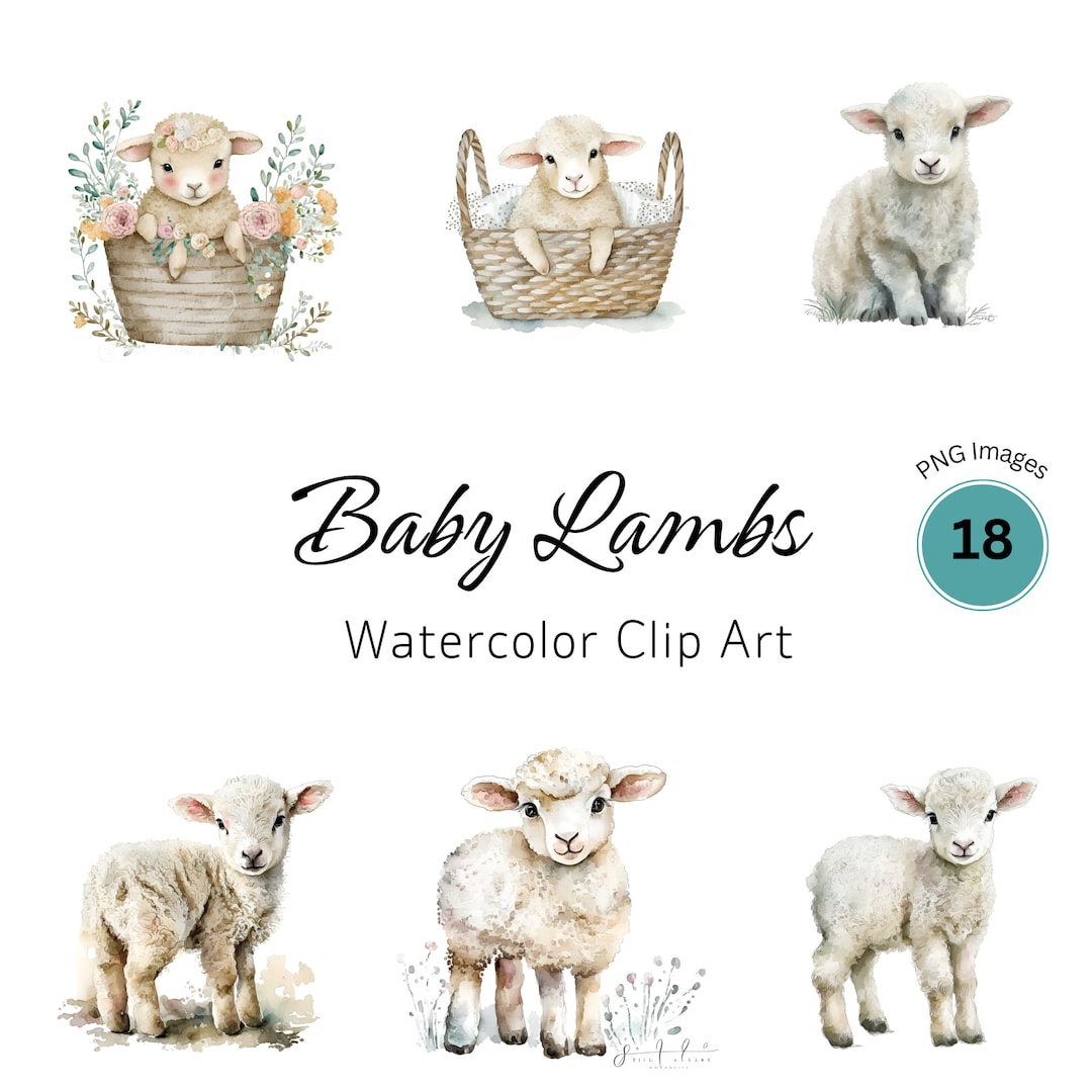 Baby Lamb Clipart | Lamb PNG | Baby Animals | Farm Animals PNG | Baby ...