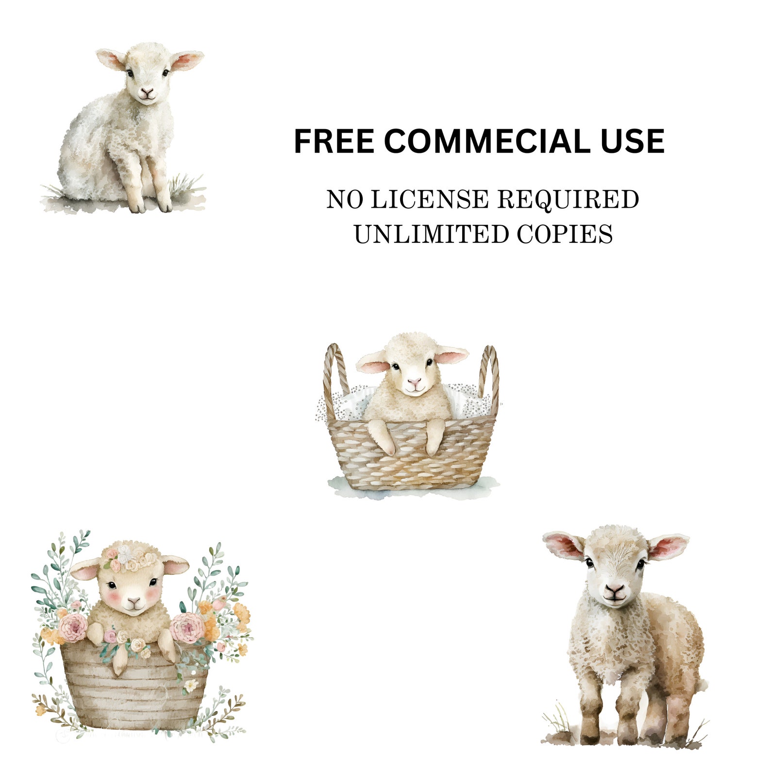 Baby Lamb Clipart | Lamb PNG | Baby Animals | Farm Animals PNG | Baby ...