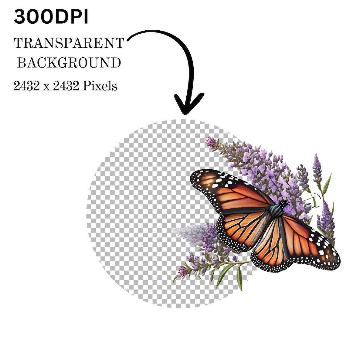 Monarch Butterfly Clipart Watercolor Butterfly PNG Floral Clipart ...