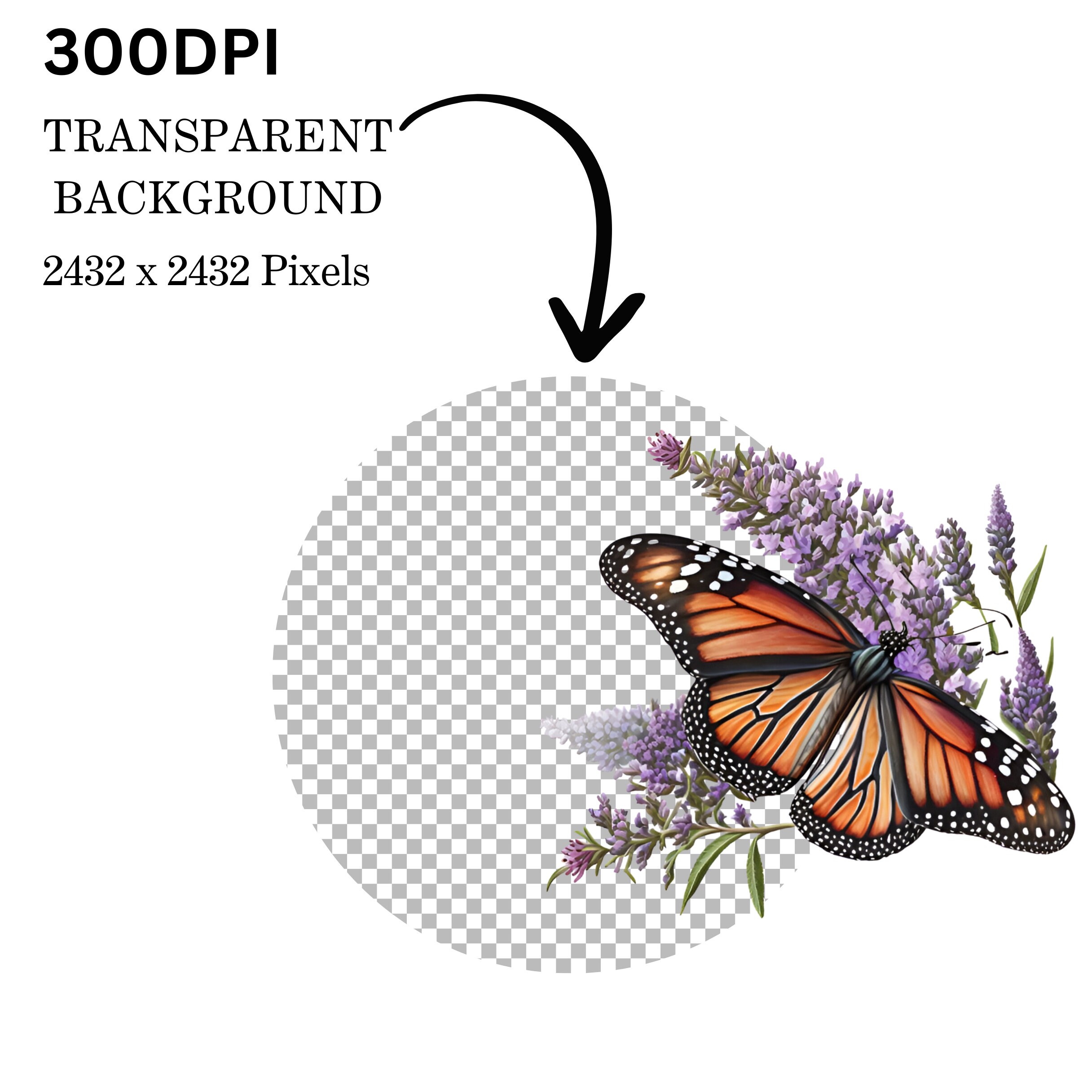 Monarch Butterfly Clipart | Watercolor Butterfly PNG | Floral Clipart ...