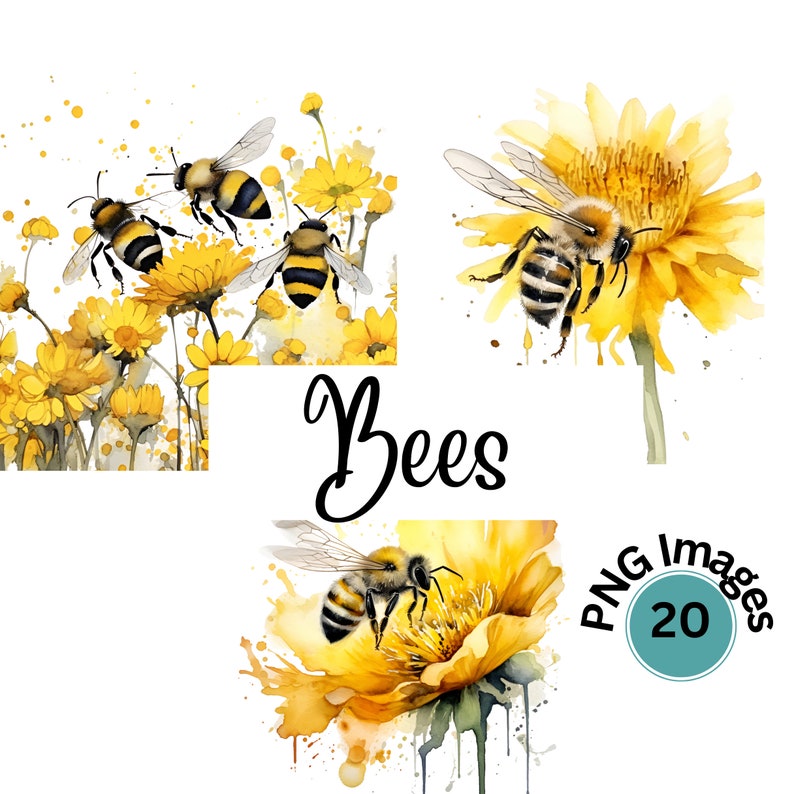 Watercolor Honey Bee Clipart, Spring Garden Honey Drips and Bee Clip ...