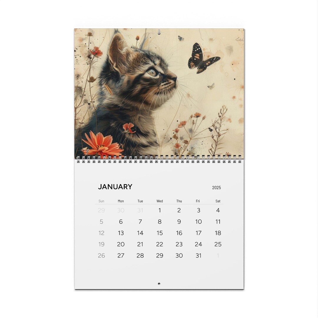 Wall Calendars 2025 Cats and Books, Cute Cat Calendar, Book Lover Gift ...