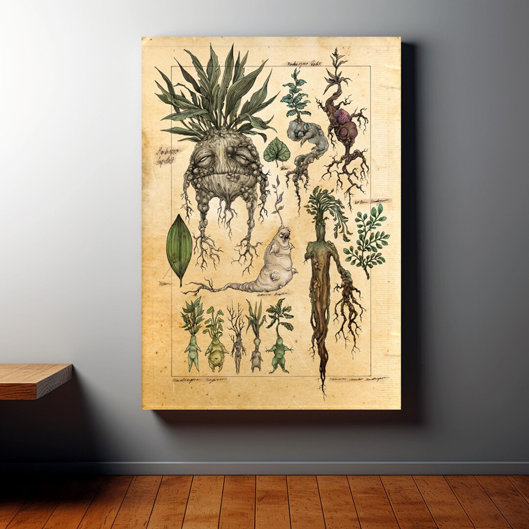 Herbology Medicinal Plant Canvas Wall Art,magic Botanical Canvas Print ...