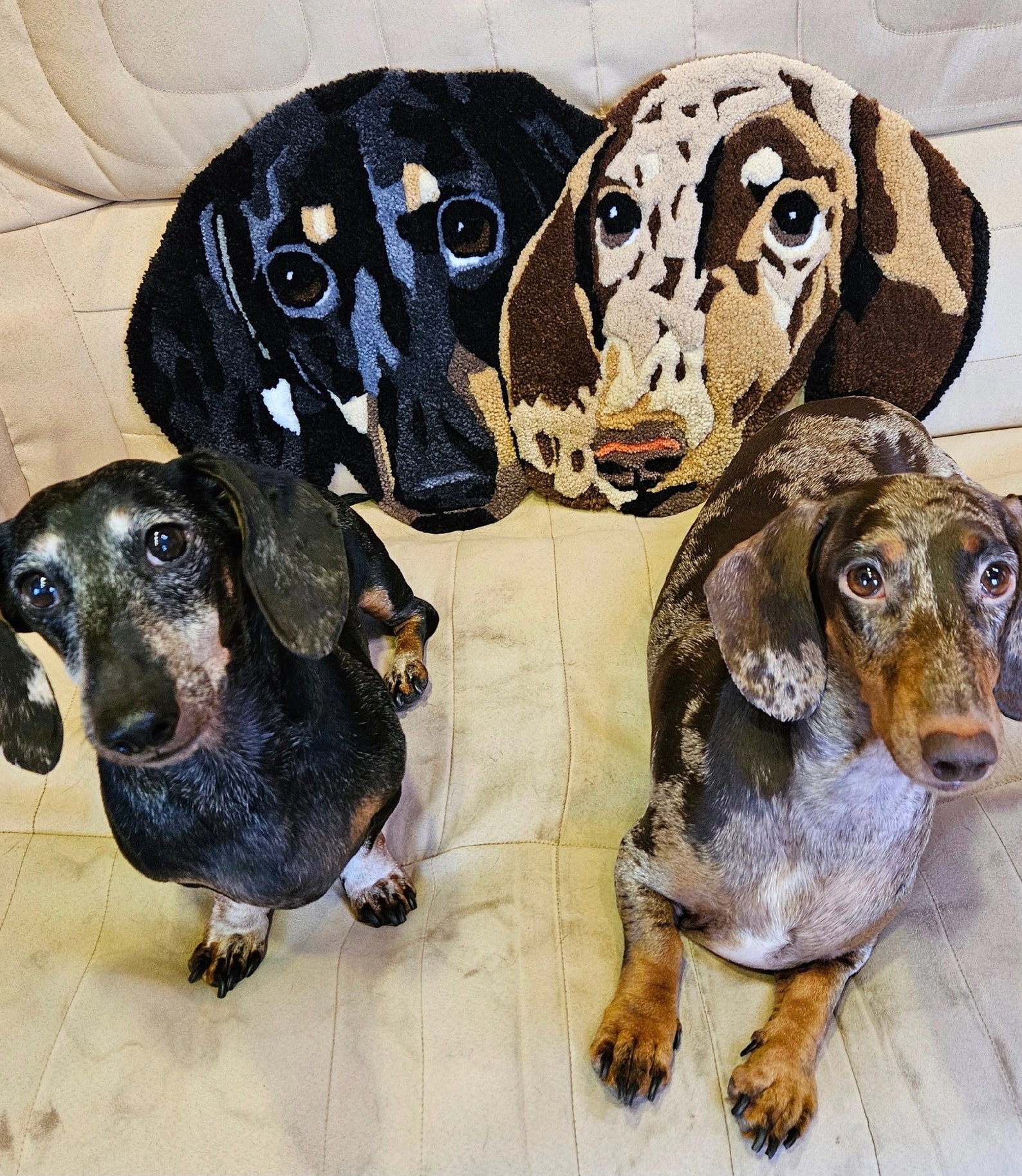 Custom Pet Portrait Tufting Rug Handmade Fluffy Tufted Rug, Art Rug ...