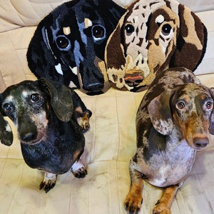 Custom Pet Portrait Tufting Rug Handmade Fluffy Tufted Rug, Art Rug ...