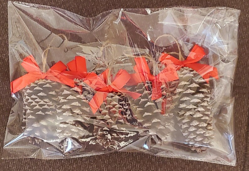 Pine Cone Decorations From Longleaf Pine Trees DIY Holiday Decor Rustic ...