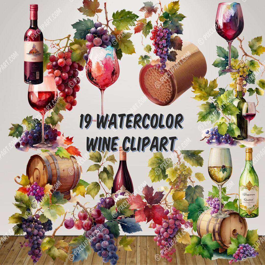 19 Watercolor Wine Clipart Digital PNG Wine Grapes, Red, and White Wine ...