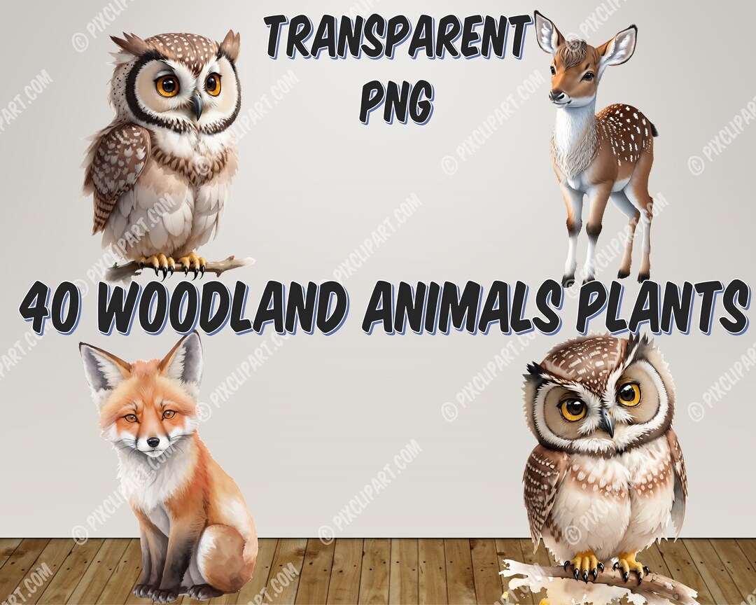40 Woodland Animals & Plants Clipart Watercolor Set - Etsy
