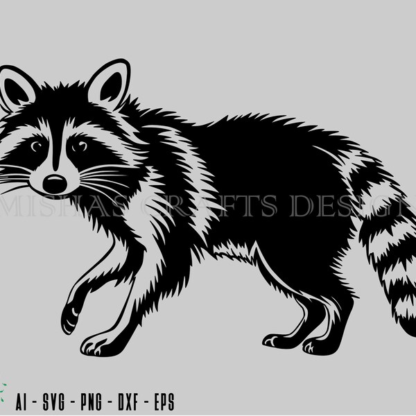 Raccoon Clipart - Etsy