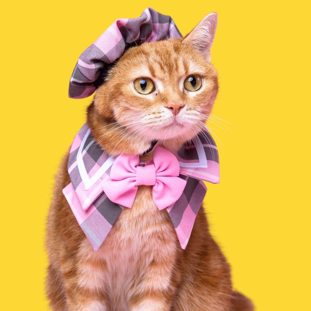 Elegant Pet Ribbon Bow & Beret Set – Dog and Cat Outfit, Red Pink Blue ...