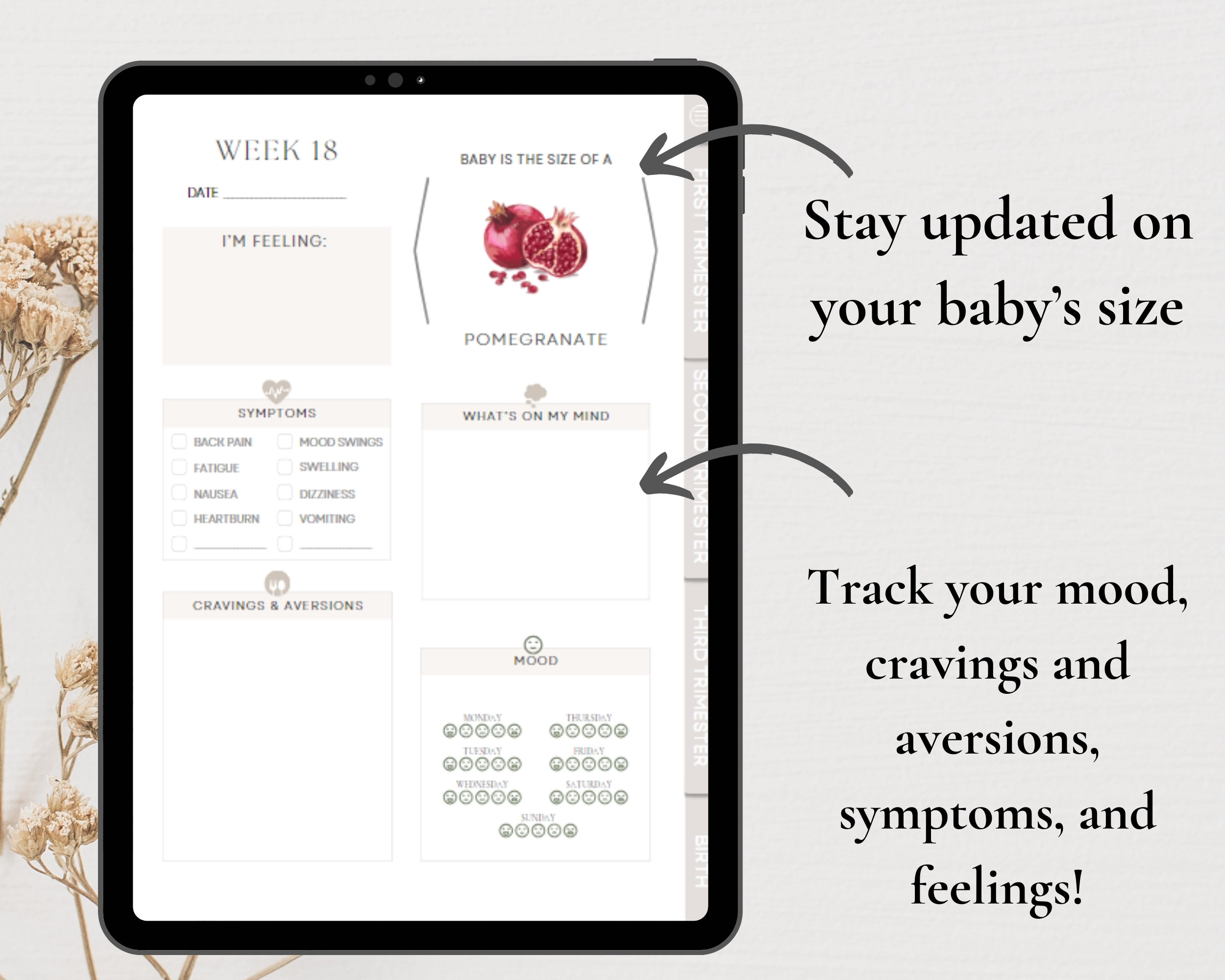 Weekly Pregnancy Journal Printable Pregnancy Journey Diary With Baby ...