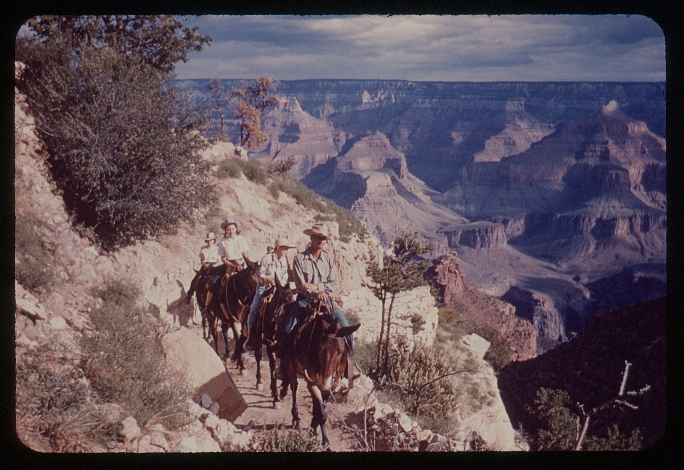 Curated Selection of 100 Found Film Slides - Etsy