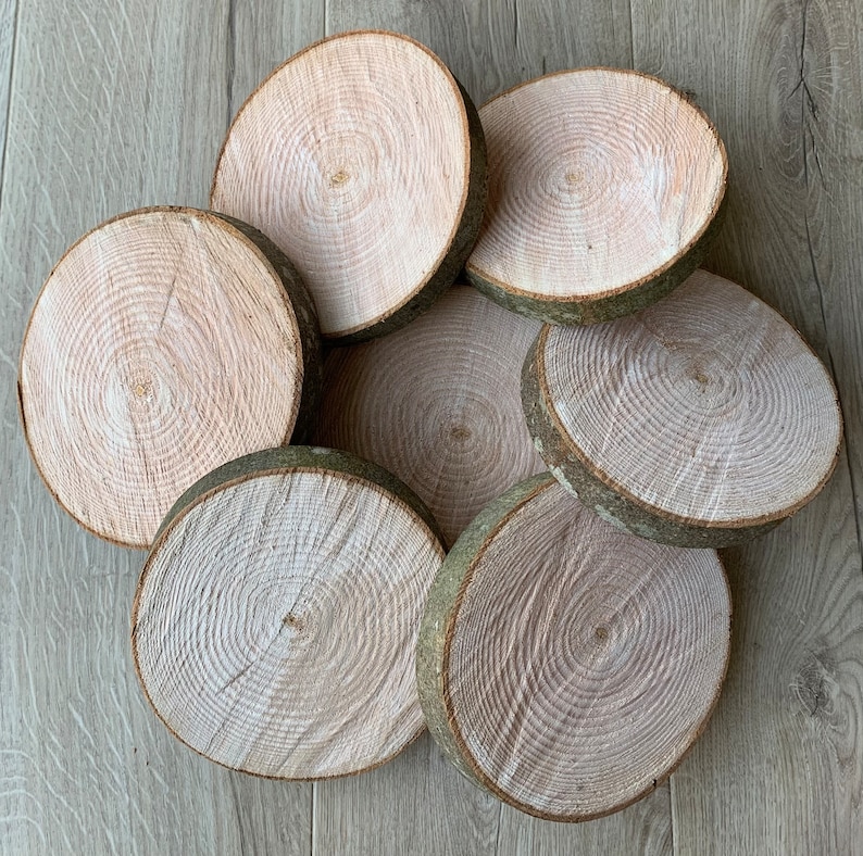 Rondins de bois 15 à 20cm de large, tranches, disques, tronçons, diy ...